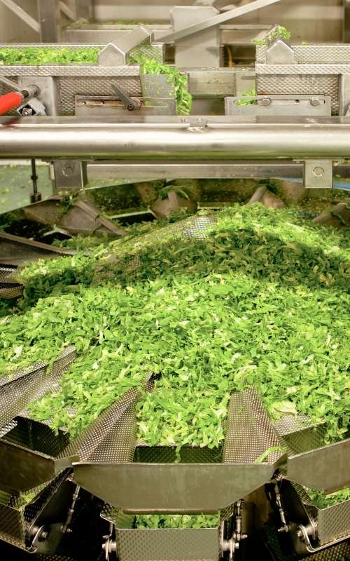 Bulk Solids - Innovative Waste Recycling